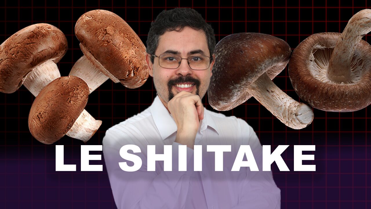 Connaissez-vous le Shiitake
